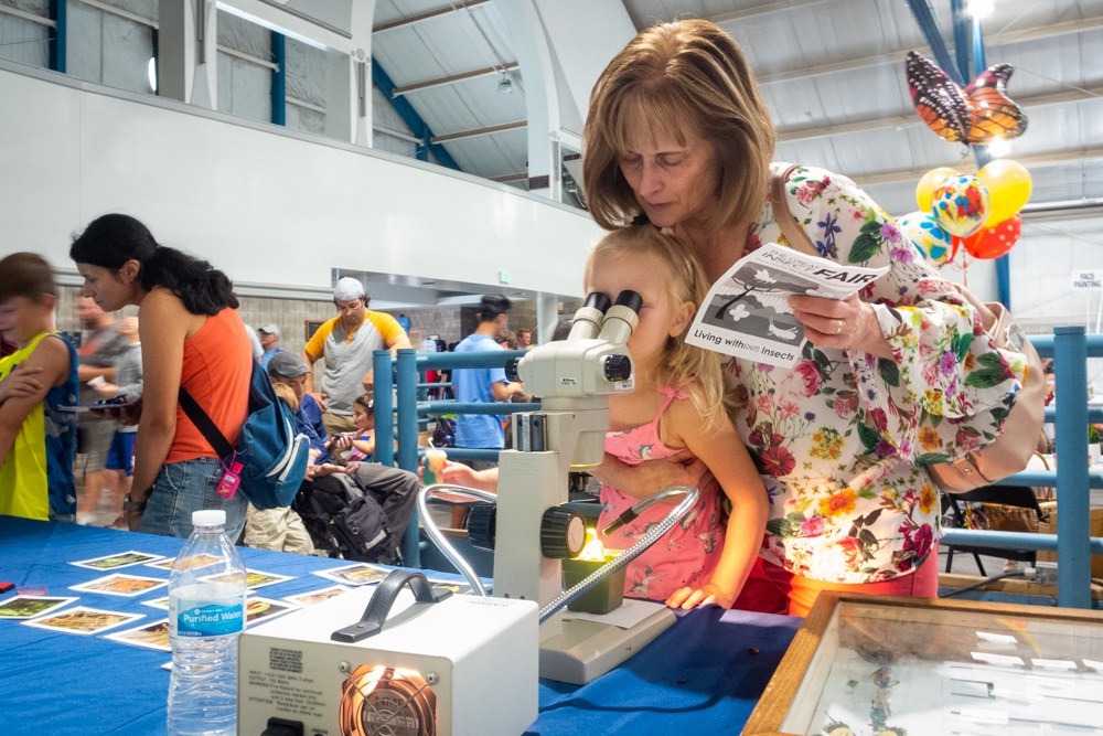 Great Insect Fair - The Center for Pollinator Research