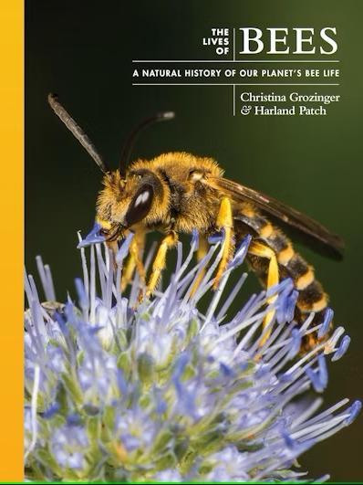 Penn State pollinator experts author a new book that explores the lives ...